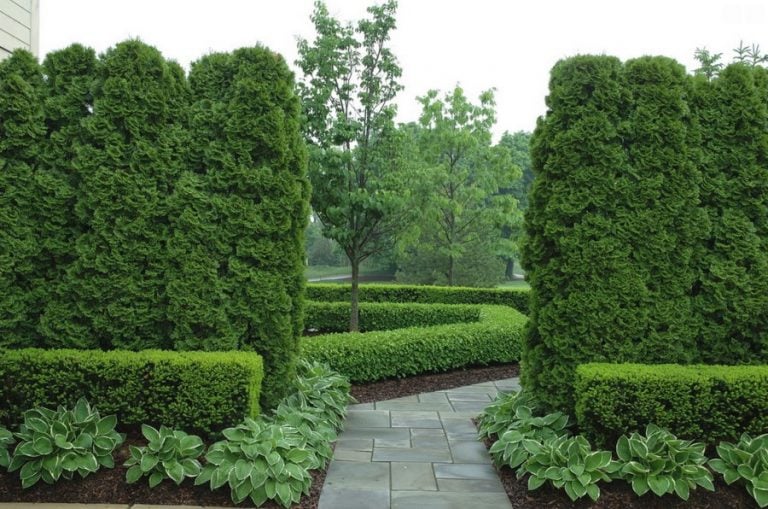 Landscaping For Privacy? Here Are Some Ideas | Red Cedar Inc